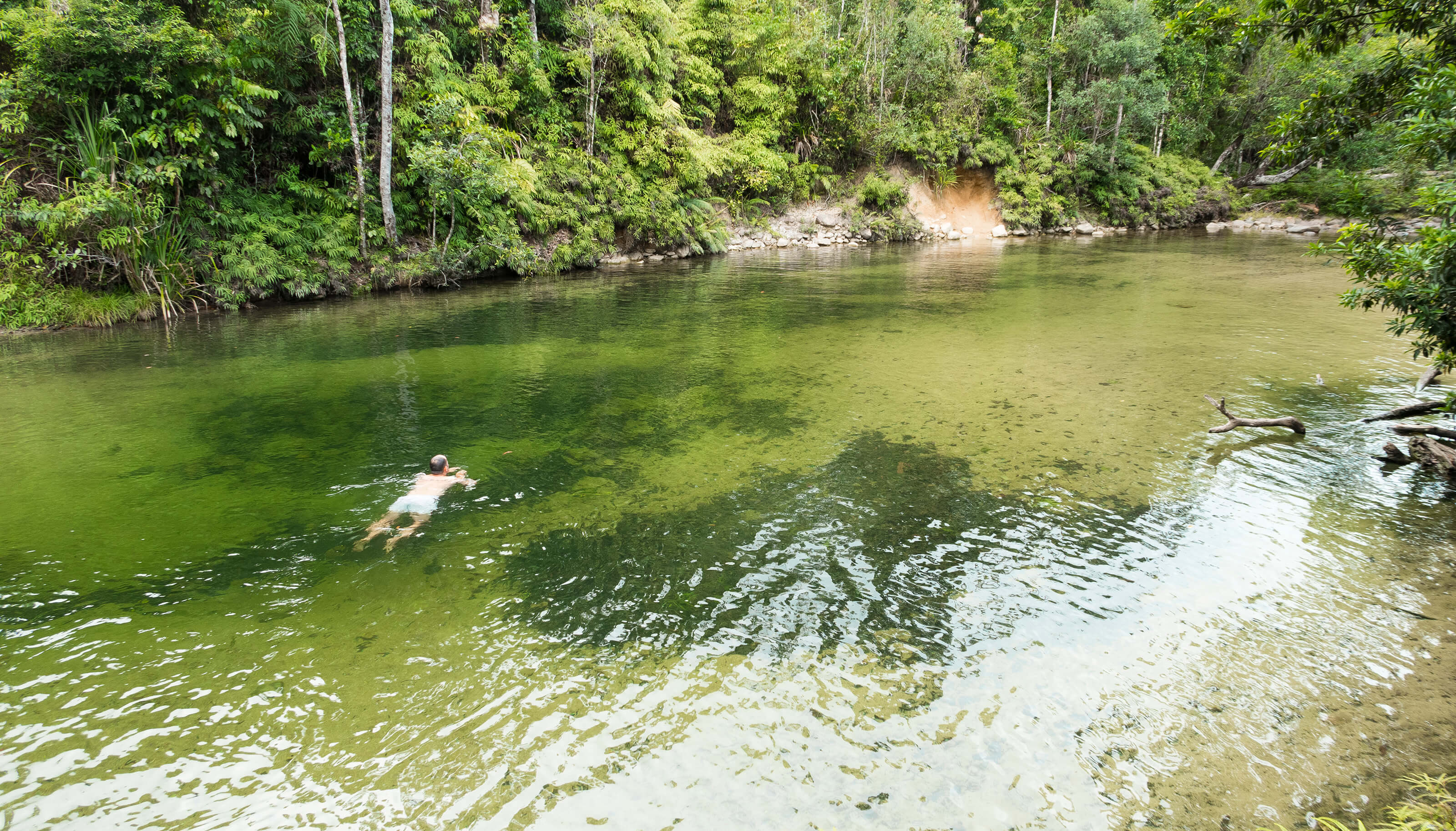 Tully Gorge National Park - Tropical North QLD