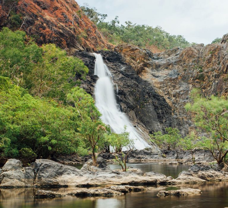 The Bloomfield Track | Tropical North Queensland