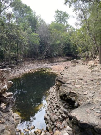 How To Get To The Cardwell Spa Pool | Cairns & Great Barrier Reef