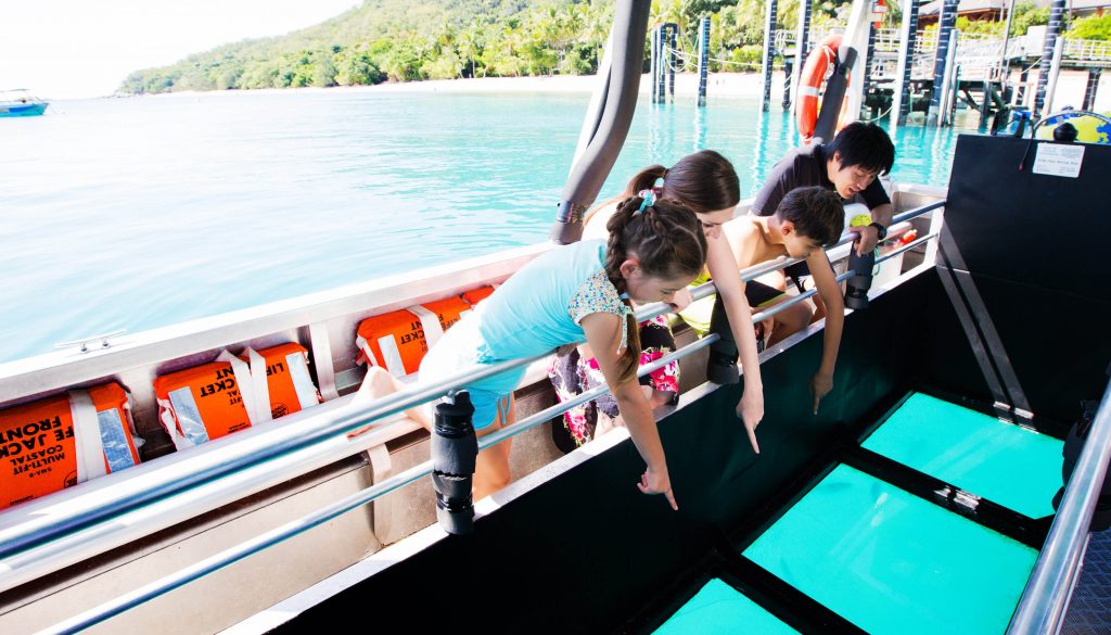 Glass Bottom Boats Tours Of The Reef | Cairns & Great Barrier Reef