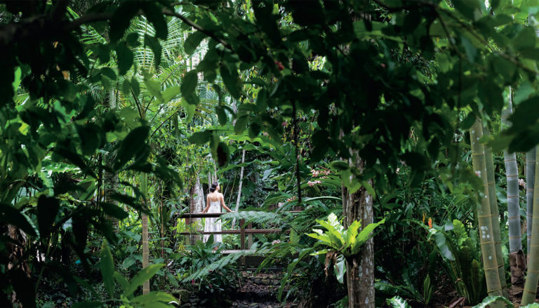 16 things to do on your first trip to Cairns | Cairns & Great Barrier Reef