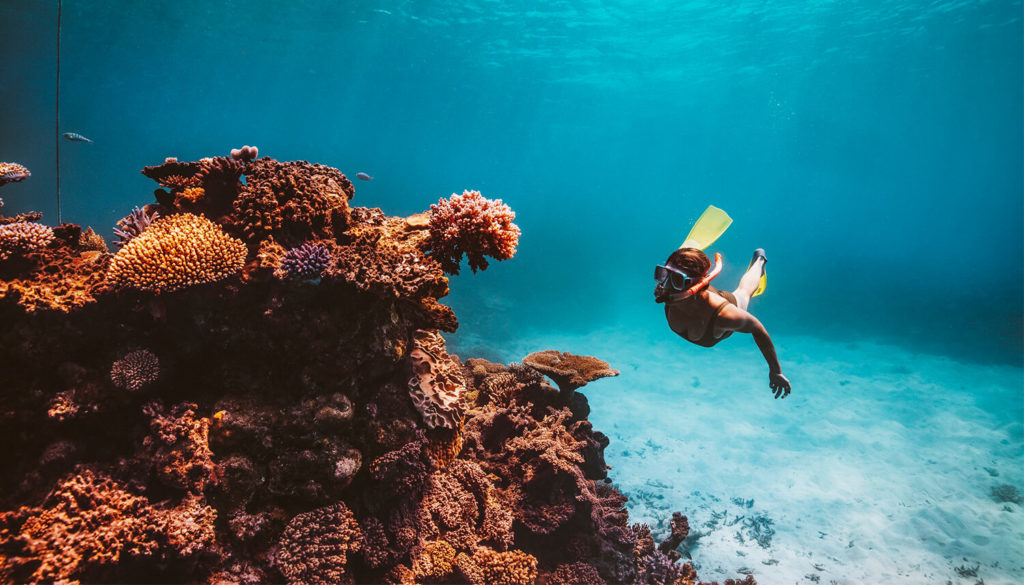 Warm Winter Holidays | Cairns & Great Barrier Reef