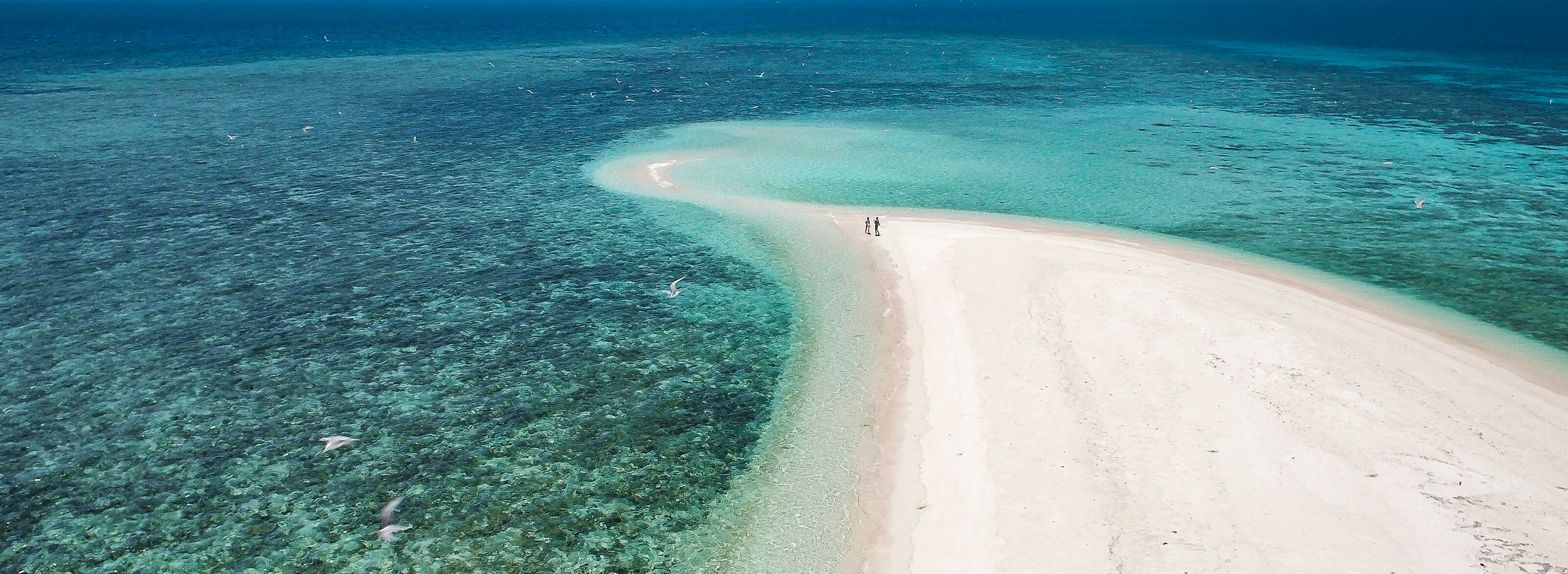 Islands Of The Great Barrier Reef | Cairns & Great Barrier Reef
