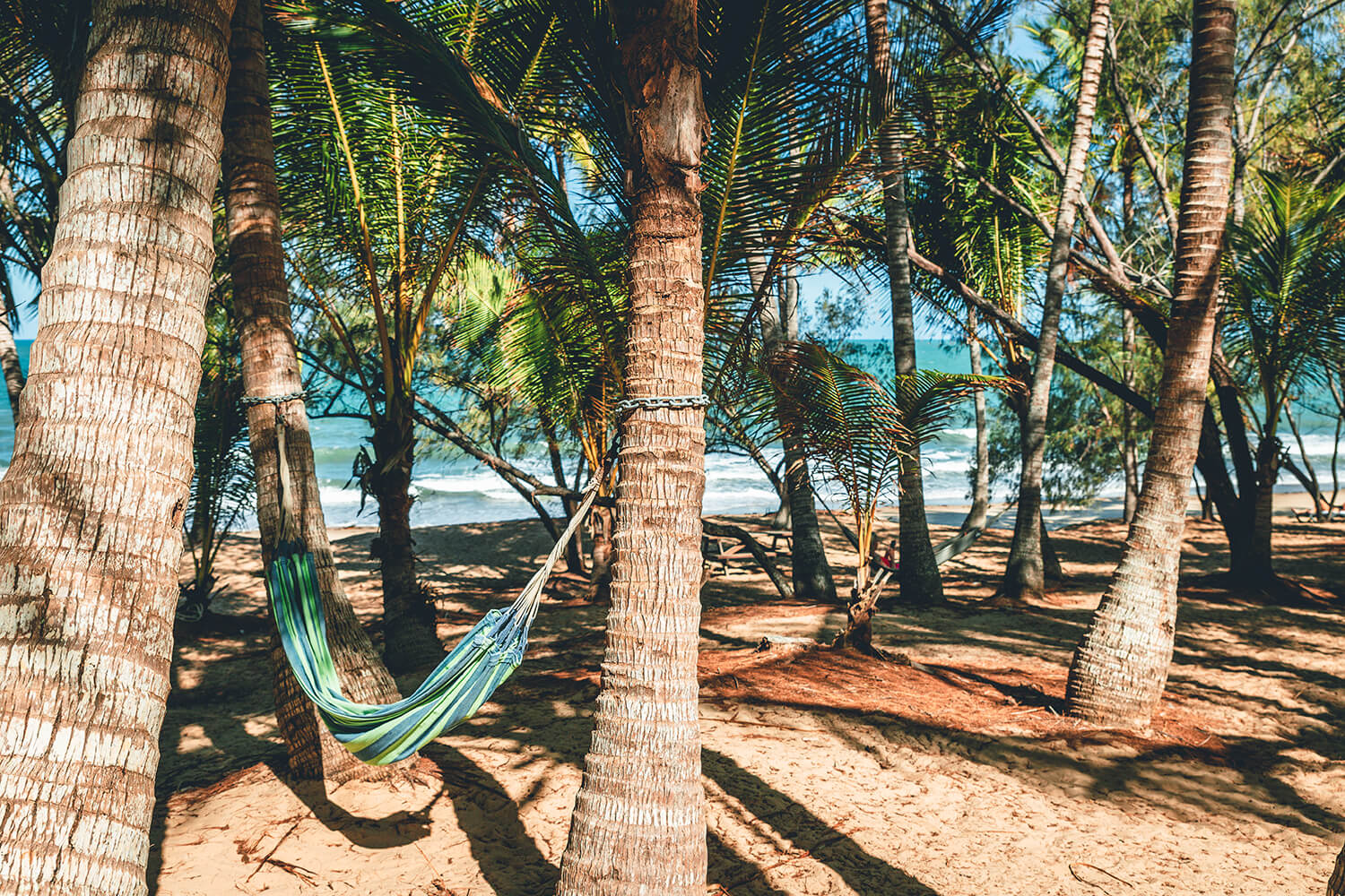 Discover Thala Beach Nature Reserve | Cairns & Great Barrier Reef