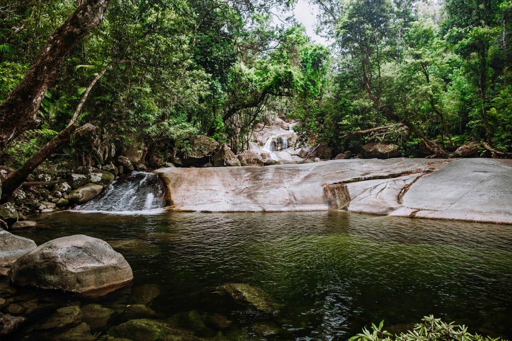 Spectacular Nature Of North Queensland | Cairns & Great Barrier Reef